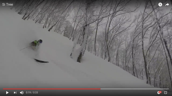 Team Blog - CAST Touring