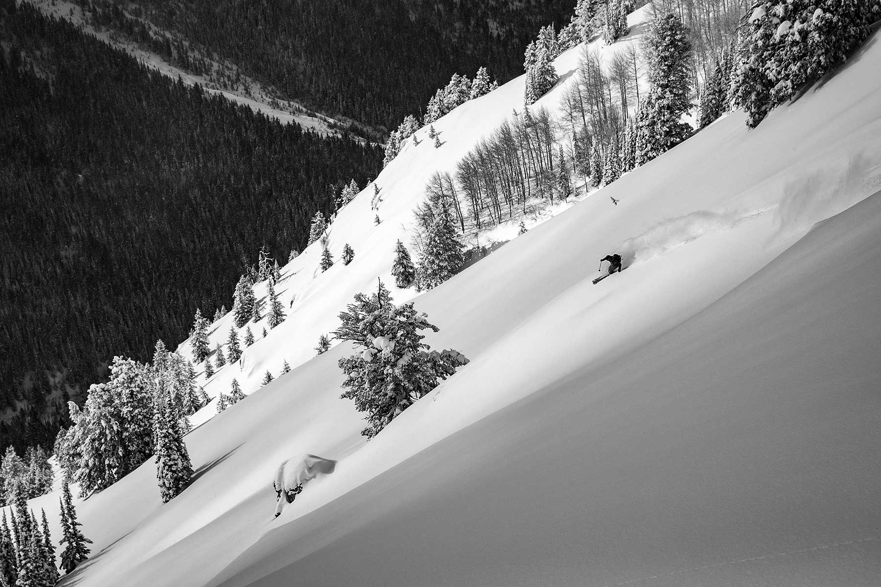 Cast Touring - The Standard in Alpine Touring Freeride Bindings. – CAST ...